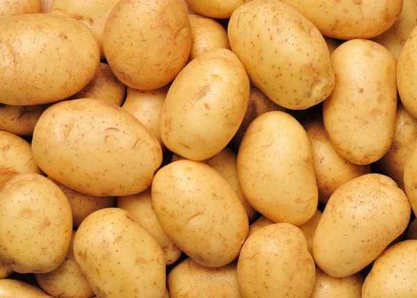 Krompir mala gomila