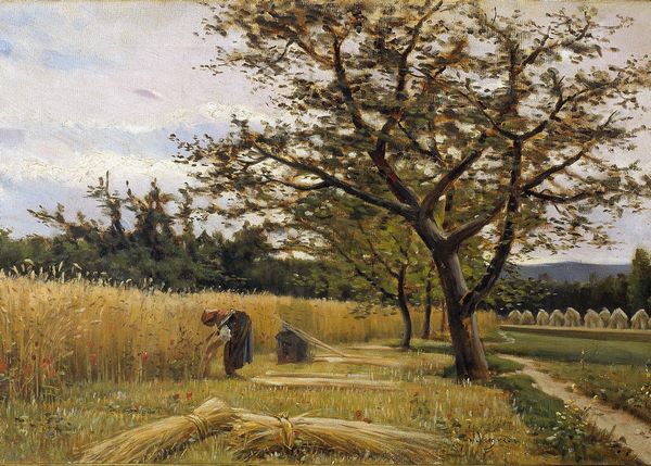 Vayreda Vila, Joaquim, Harvest
