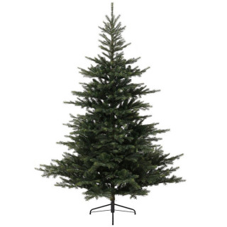 Novogodišnja jelka Grandis Fir 150cm