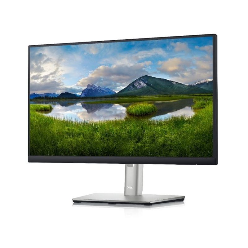 Dell 21.5″ P2222H Professional IPS monitor