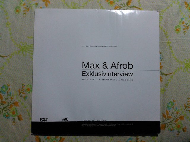 Max &; Afrob / Freundeskreis ‎– Exklusivinterview / Ei