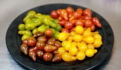 HEIRLOOM KRUSKA paradajz MIX boja (seme)