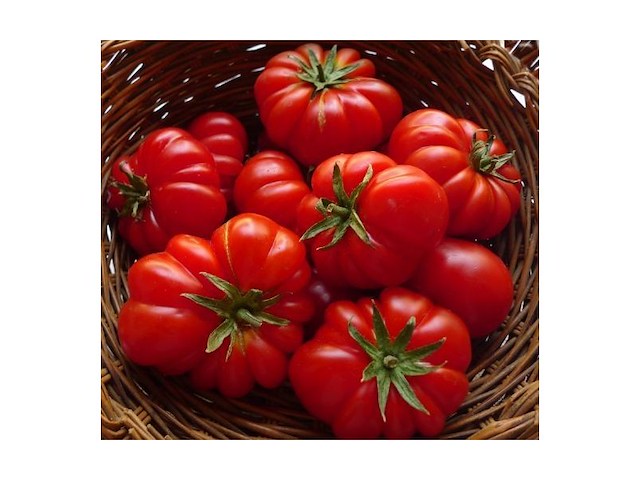 Costoluto Fiorentino paradajz (seme) Stara sorta!