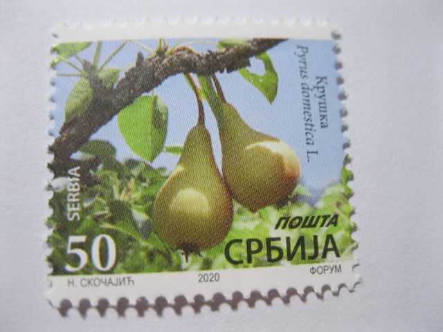 Redovna marka, Srbija, 2020., Flora, Kruška