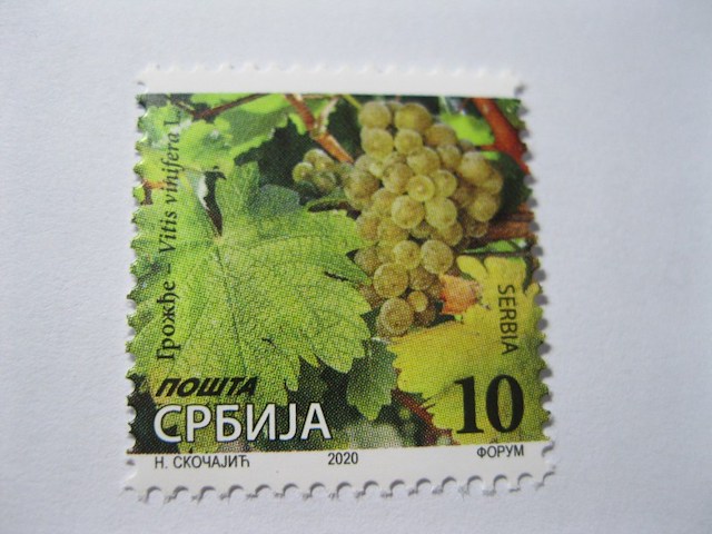 Redovna marka, Srbija, 2020., Flora, Grožđe