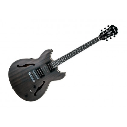Music box
Ibanez AS53-TKF električna gitara