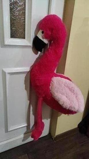 Veliki Flamingo