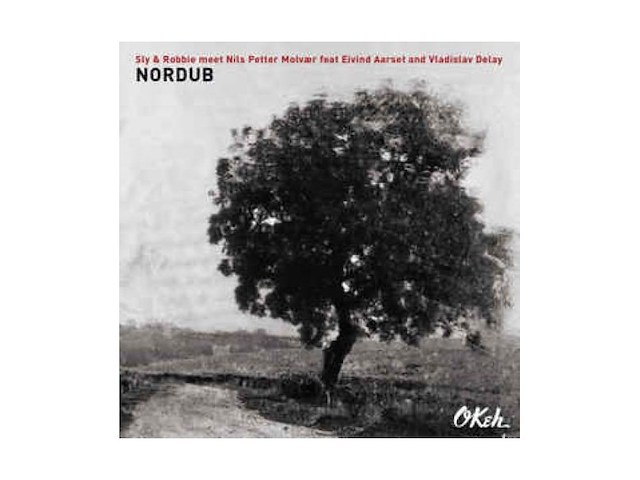 NORDUB:Sly and Robbie Meet Nils Petter Molvær/2LP