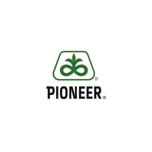 Seme kukuruza PIONEER P0412