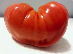 Sweet Heart paradajz