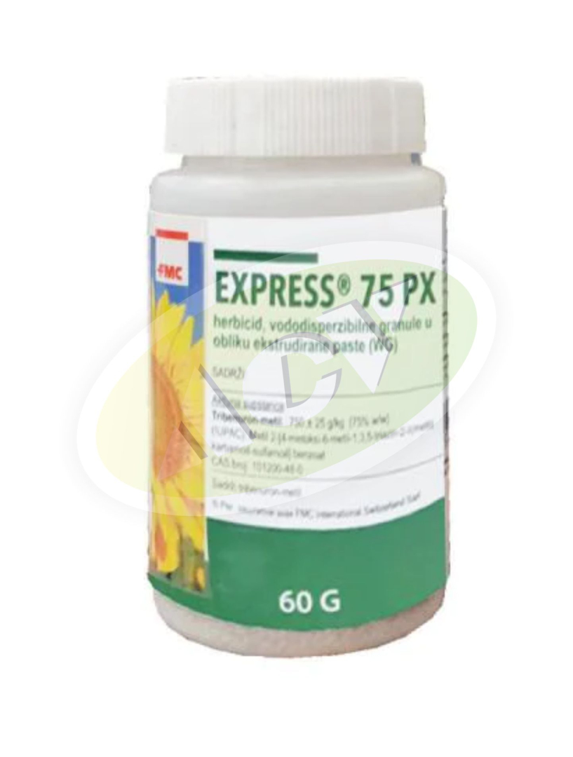 EXPRESS 75 PX 60GR