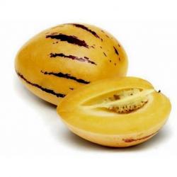 Solanum Pepino (seme)