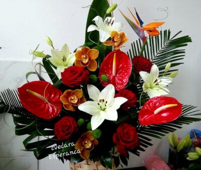 Cvetni aranžman – korpa sa cvećem – strelicija, anturium, orhideja, ruža, ljiljan, kermit, dekorativno zelenilo