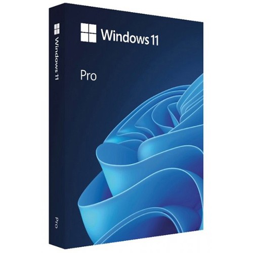 Microsoft Windows 11 Pro 64Bit English | HAV-00164