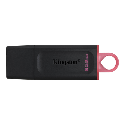 KINGSTON USB Flash memorija 256GB DTX/256GB