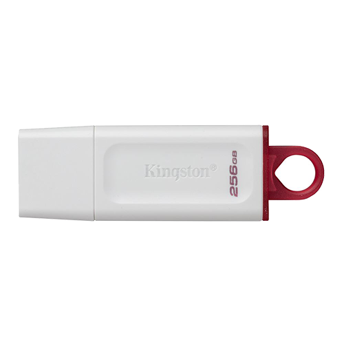 KINGSTON USB Flash memorija 256GB Exodia (Bela) KC-U2G256-5R