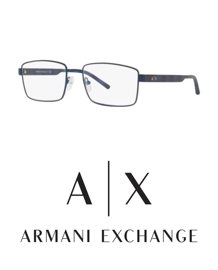 Armani Exchange 1037 6113
