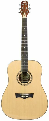 Peavey DW-01 akustična gitara