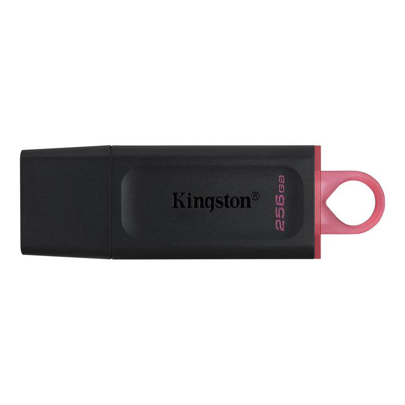 Kingston USB 256GB DTX/256GB