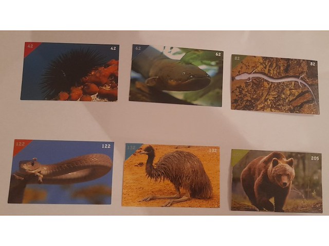 Životinjsko carstvo, 2016, 6 različitih sličica