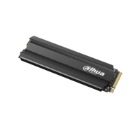 256 GB Dahua DHI-SSD-E900N256G