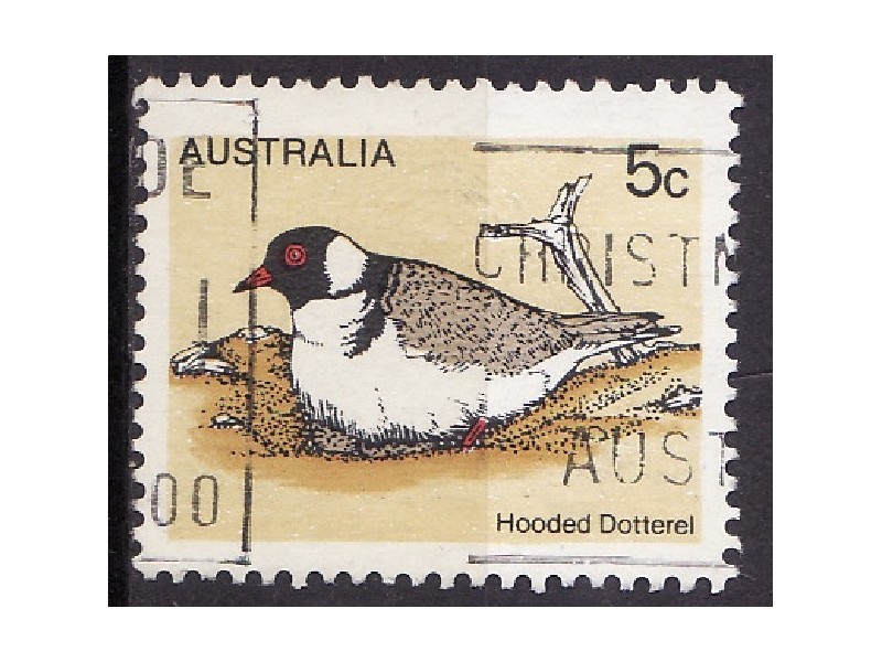 Australija - ptica