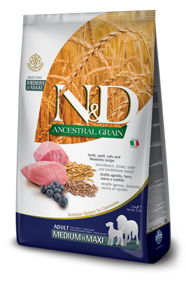 N&D Low Grain Maxi Adult Lamb&Blueberry