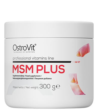 MSM Plus Professional Vitamins Line - 300 g