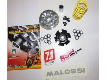 Malossi Varijator Aprilia Leonardo Scarabeo 125/150cc Rotax