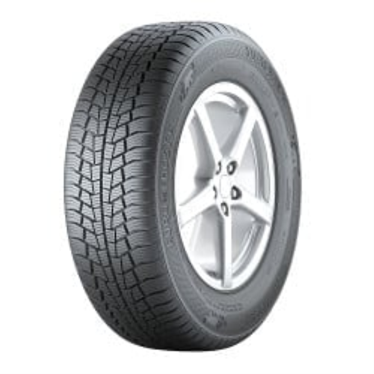 G205/55R16 91H EURO FROST-6 GISLAVED M+S