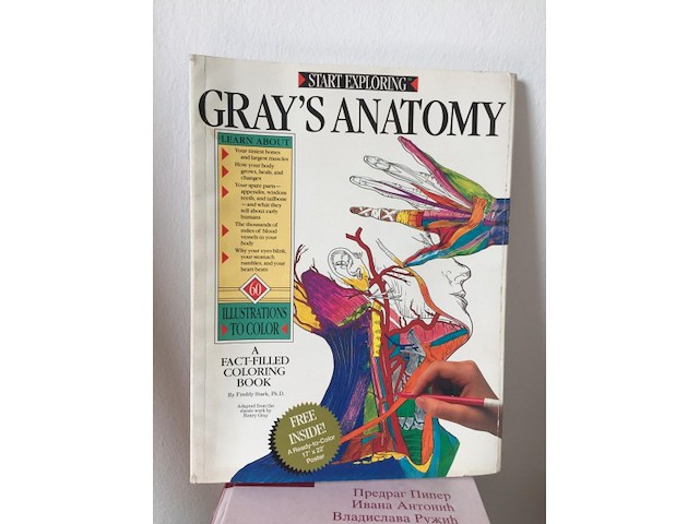 GRAY`s ANATHOMY edukativna bojanka iz anatomije