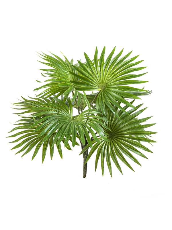 Veštačka grana palme