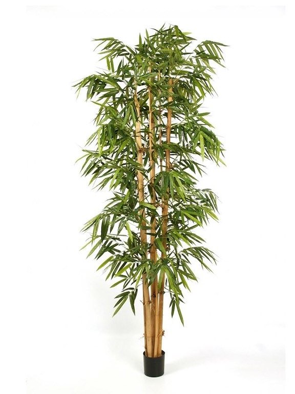 Veštački širokolisni bambus
