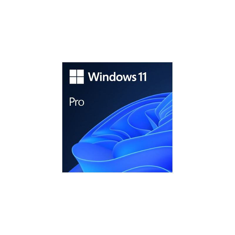 MS OEM Windows 11 Pro Eng 64-bit, FQC-10528