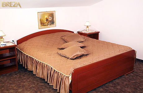 Sobe u Vrnjačkoj Banji - Sobe sa kupatilom Breza