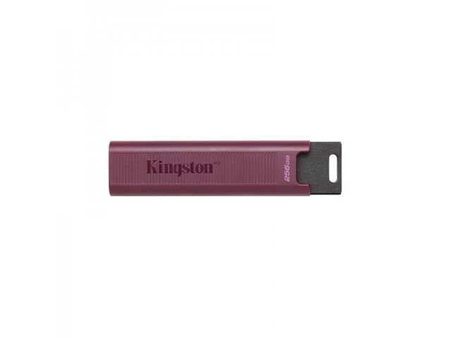Kingston 256GB DataTraveler Max USB 3.2 flash DTMAXA/256GB