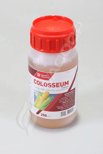 Colosseum 250 ml