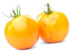 Zuti paradajz (seme) - Žuti krupni paradajz