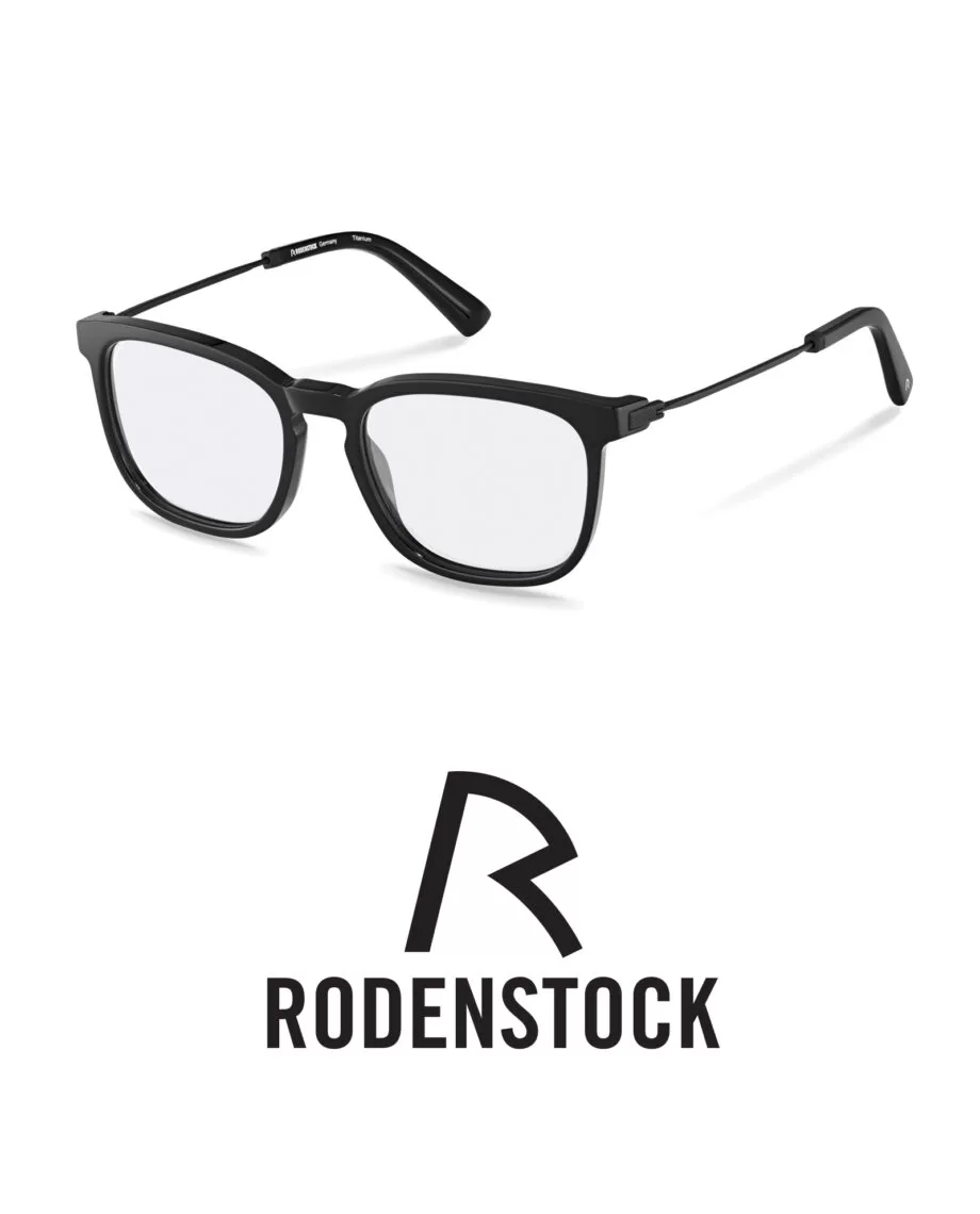 Rodenstock 8029 A Titanium