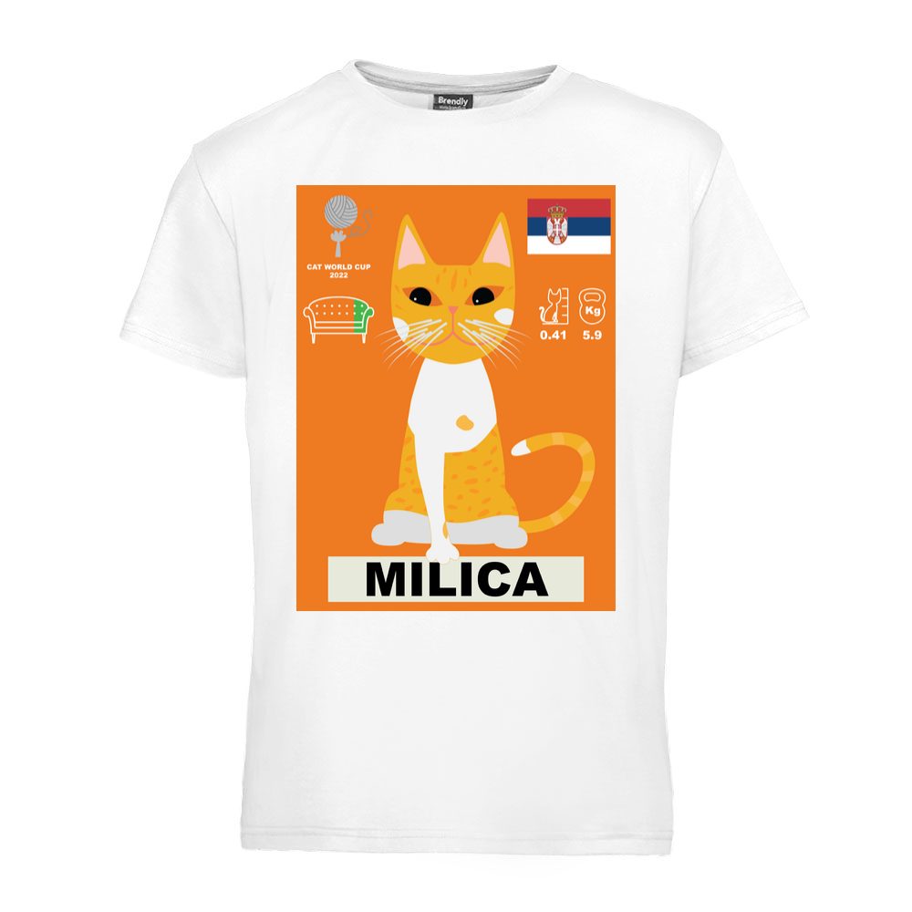 Ponesite svog omiljenog mačko-fudbalera na majici! Ne propustite personalizovane Fifa sličice!