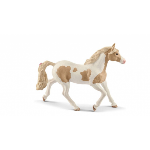 Paint konj kobila