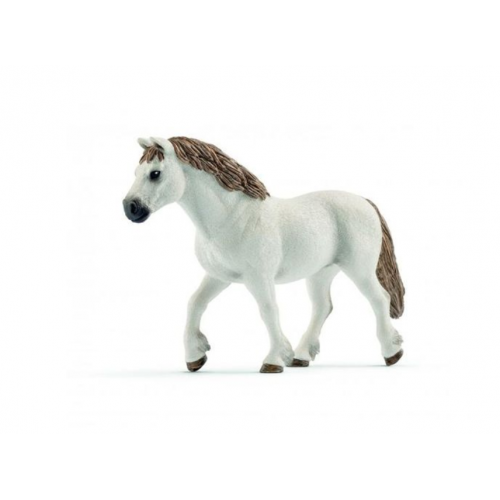 Welsh poni kobila