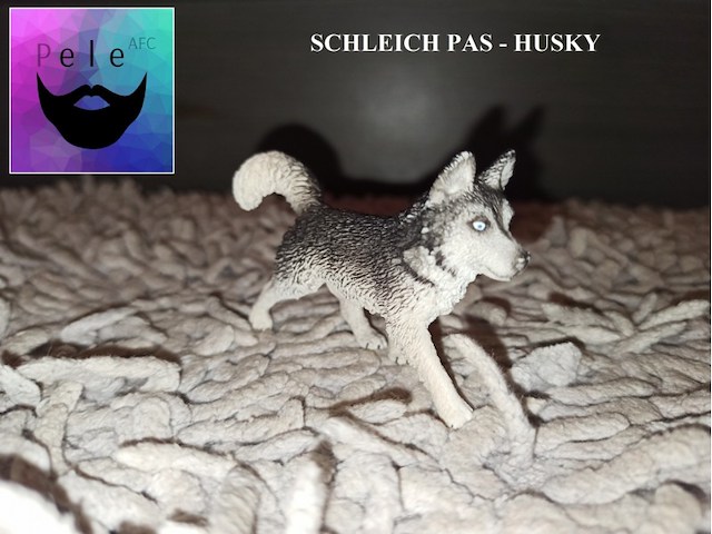 Schleich pas - Husky - TOP PONUDA