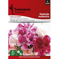 Seme za cveće 5 kesica Godecija mešavina - Godetia grandiflora 3540