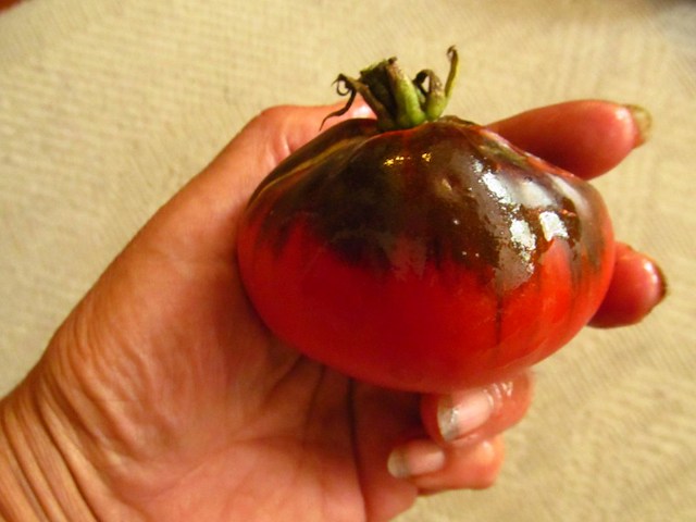 Plava kruška paradajz, seme 10 komada