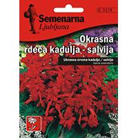Baštensko cveće Plamena Kadulja - Žalfija - Salvia splendens 10 kesica 5174