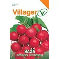 Seme za Rotkvice saxa 5 kesica Villager 023340