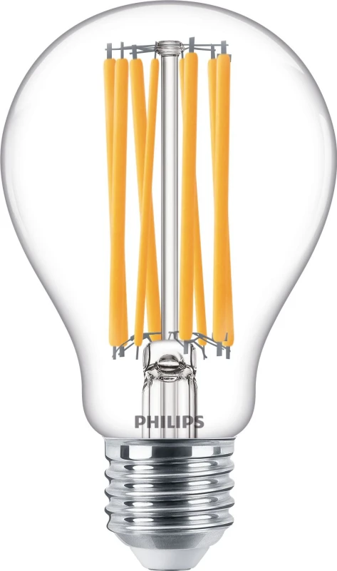 Philips (A67) LED sijalica E27 17W 2700K