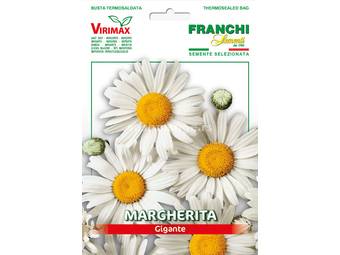 Margareta bela - seme za cveće 5 kesica Franchi Sementi Virimax