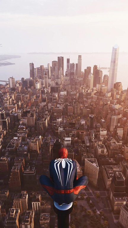 Spiderman on guard